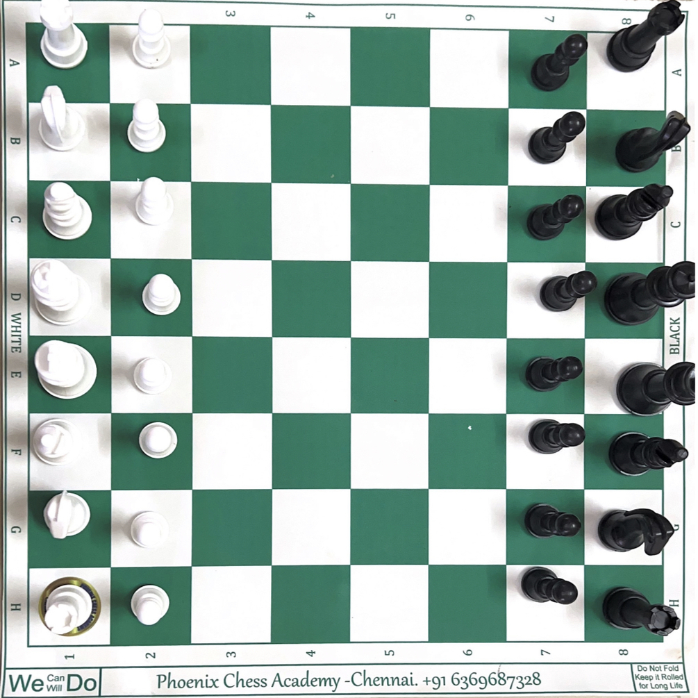 Chess boards , pouch nd stuffed pieces full set