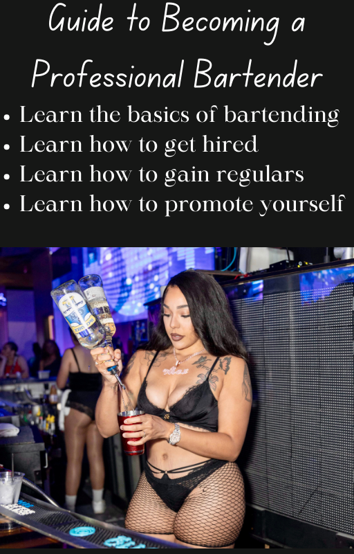 Bartender Training E Book