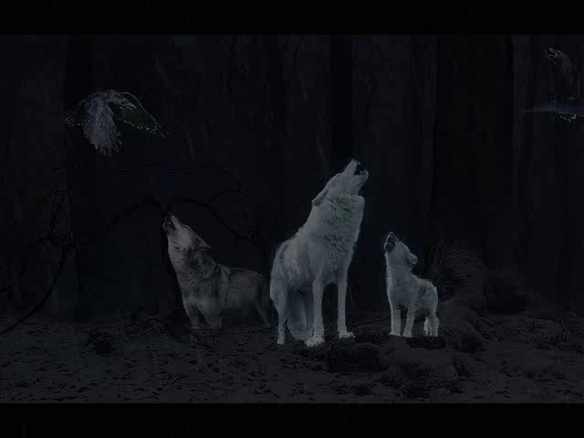 Sound of Ravens Crows sounds Wolves Howling