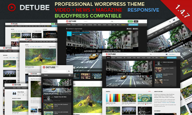 Professional Video Wordpress Theme