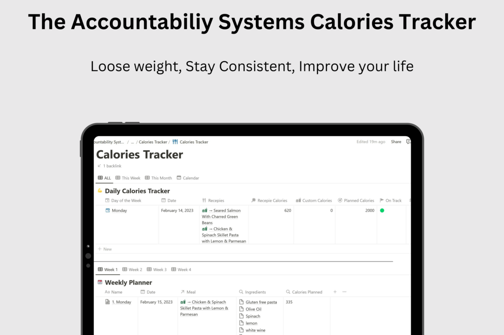 The Accountability Sytems - Calories Tracker