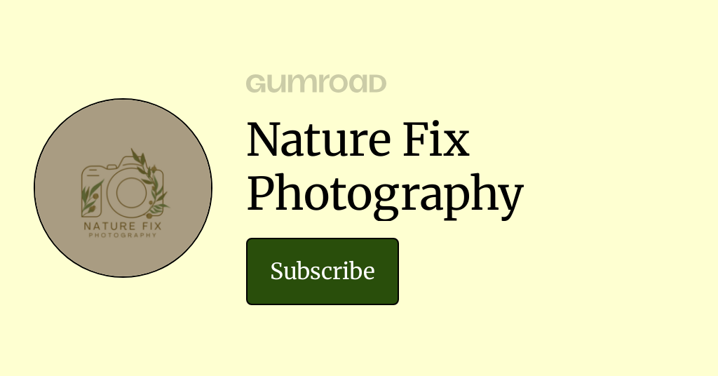 Nature Fix Photography