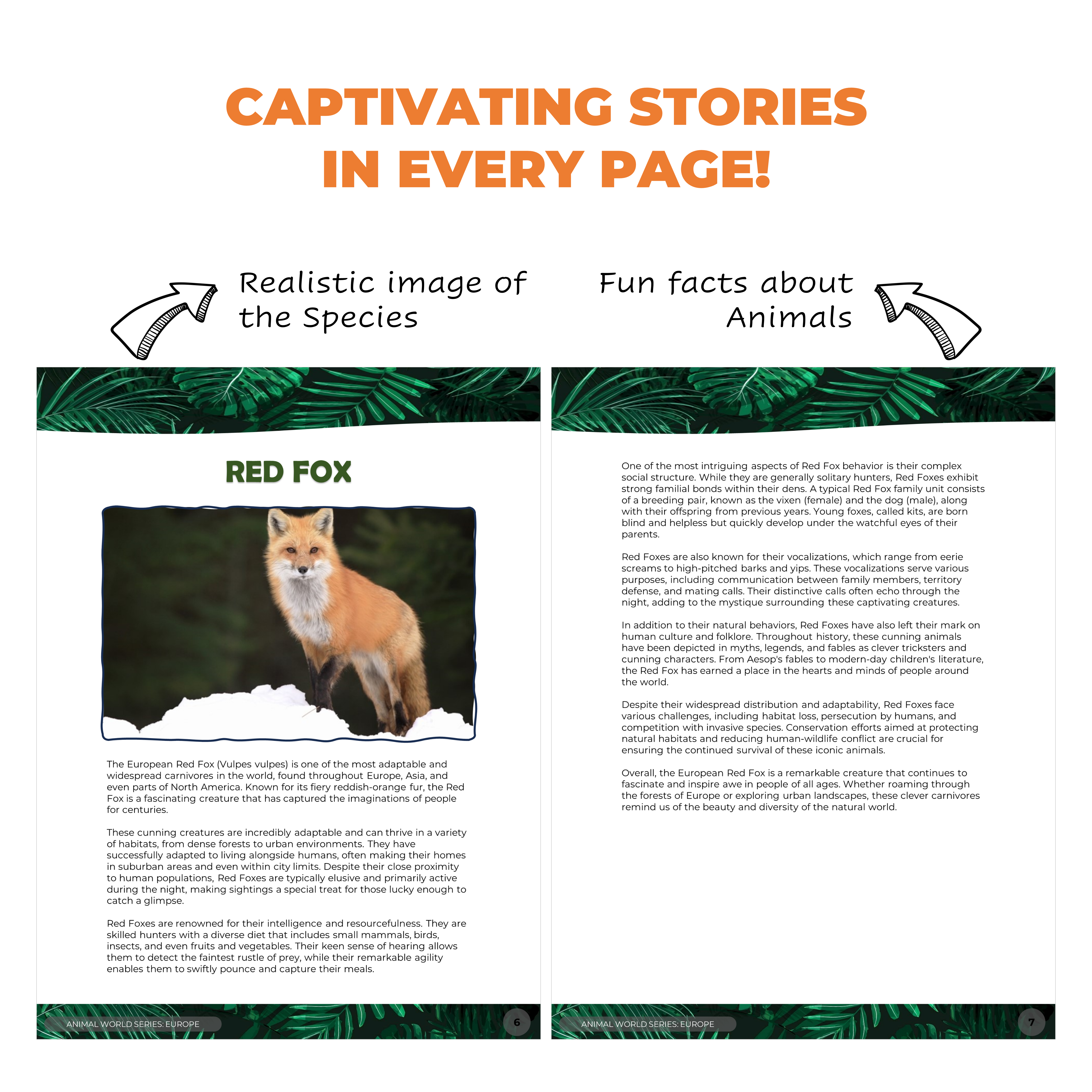 Printable Children Reading and Activity Book | Wildlife Animal World ...
