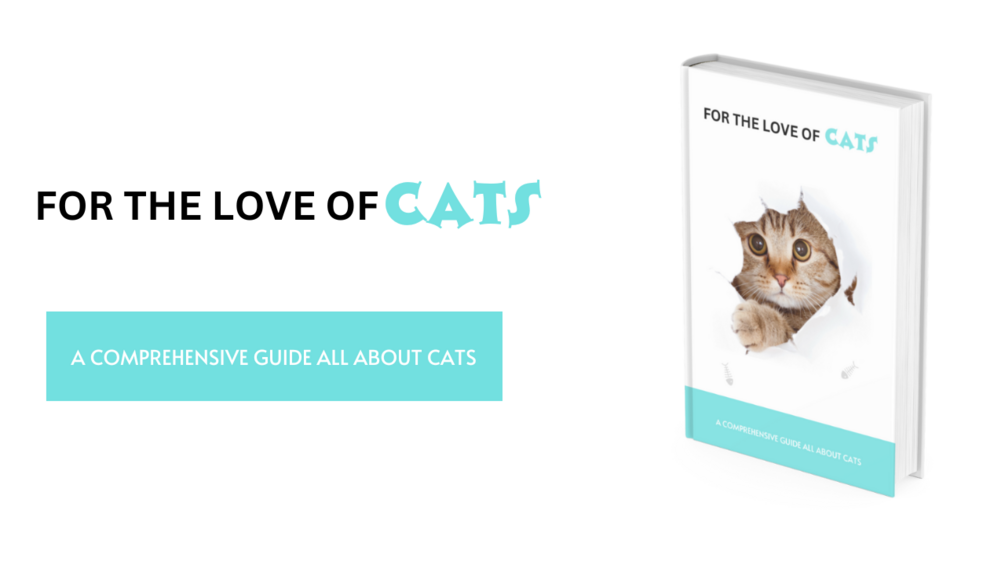 for the love of cats