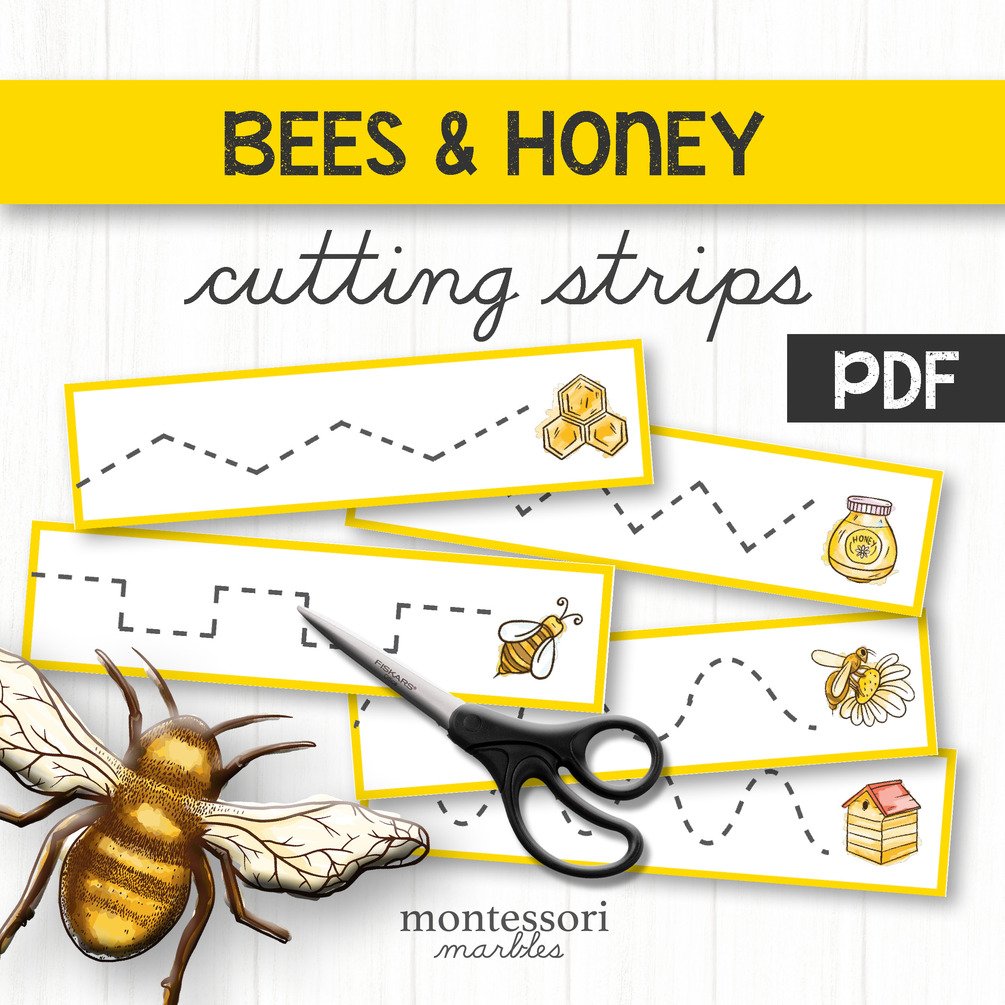 BEES AND HONEY Cutting Strips for Montessori Toddler & PreK, Spring ...