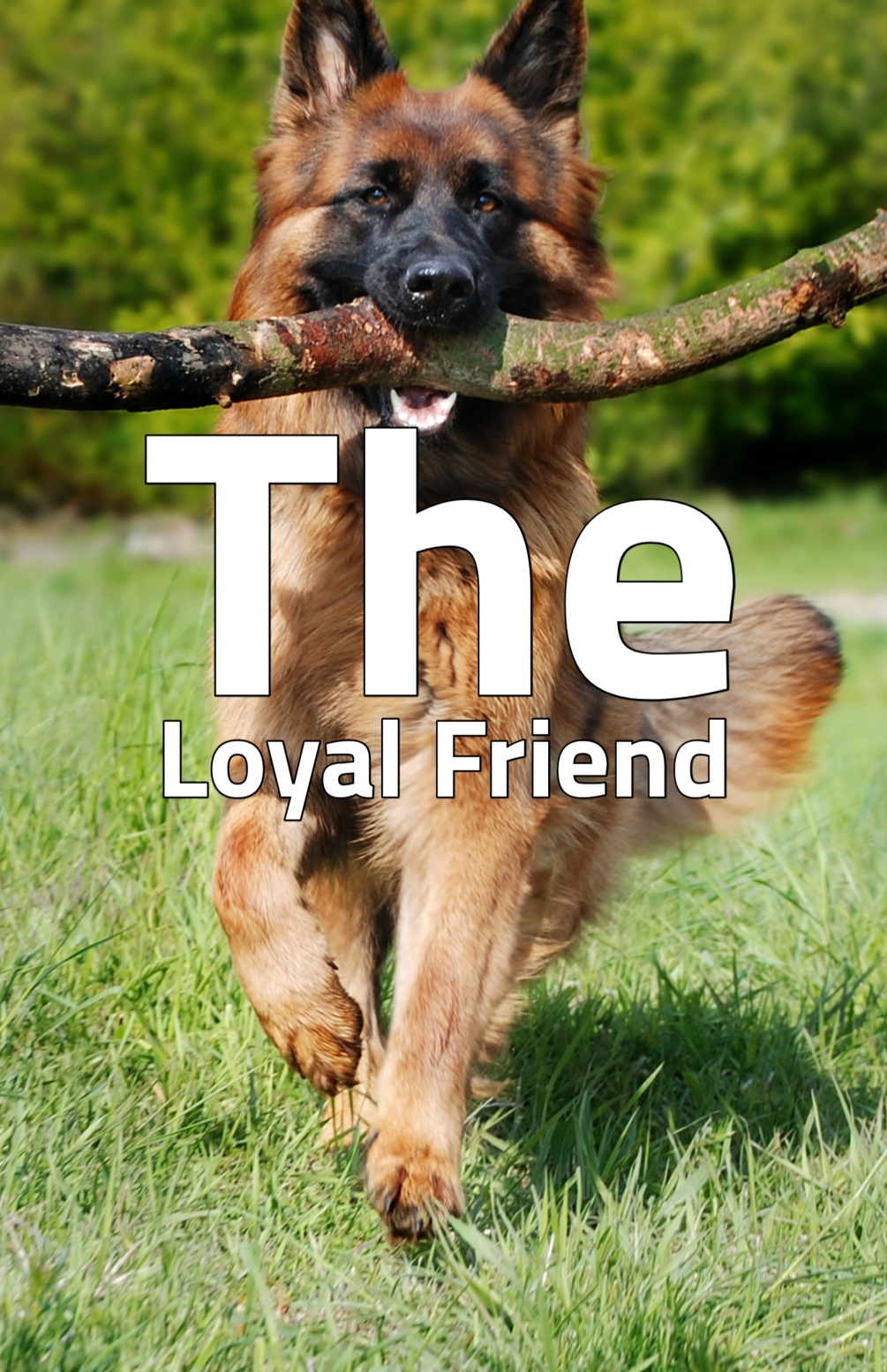 The Loyal Friend : 160 Dog Breeds Guide