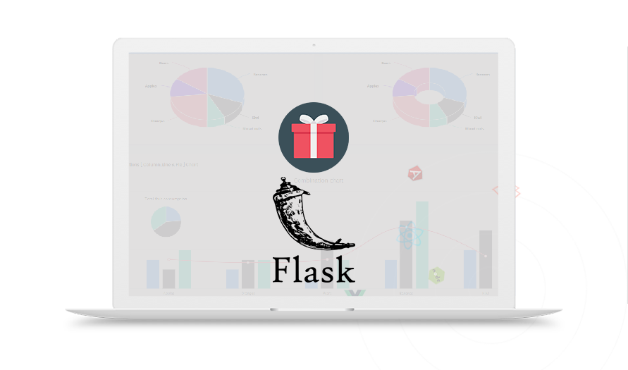 Bundle 2*PRO Flask - Company