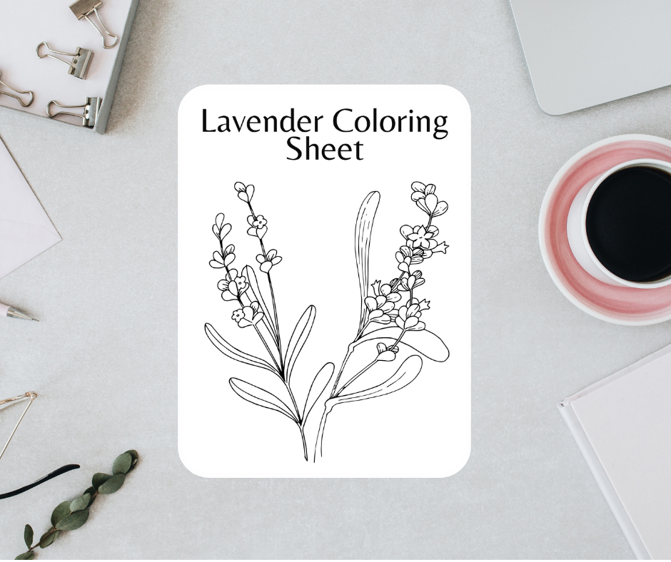 Lavender Coloring Sheet