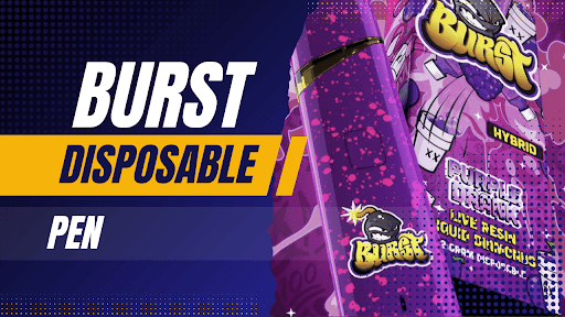 Explore Burst 2G Disposable_ Features, Benefits, and Reviews 2024