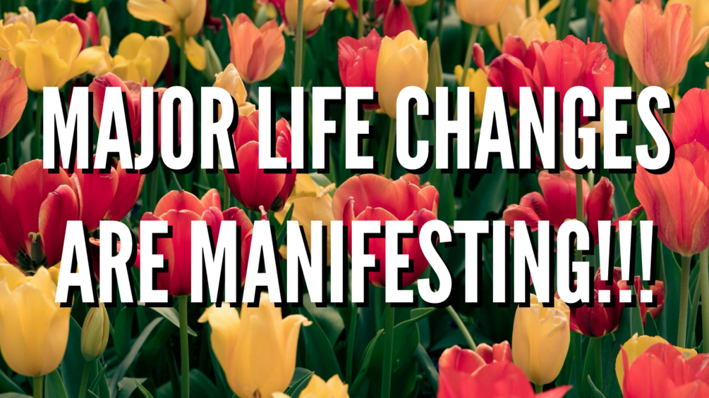 MAJOR life changes are manifesting!!! Endings, relocation, love offers ...