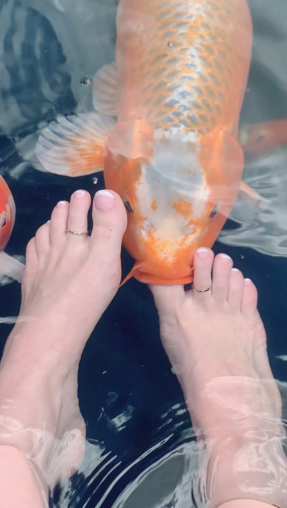 Koi Fish time [feet fetish set]