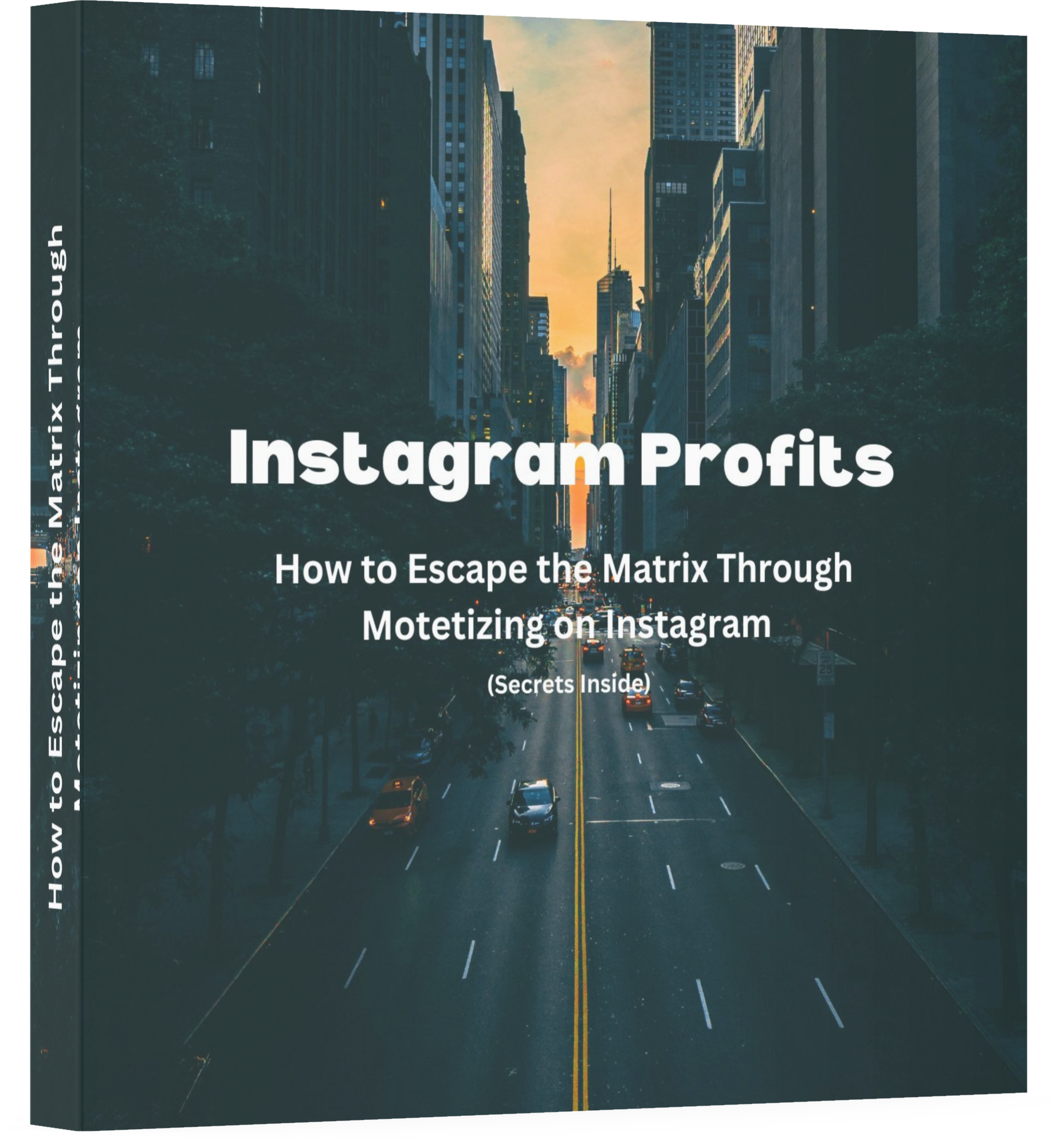 Instagram Profits