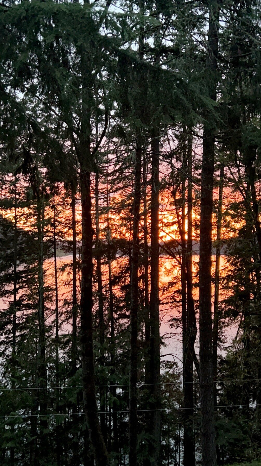 AC82-A random sunset#0001