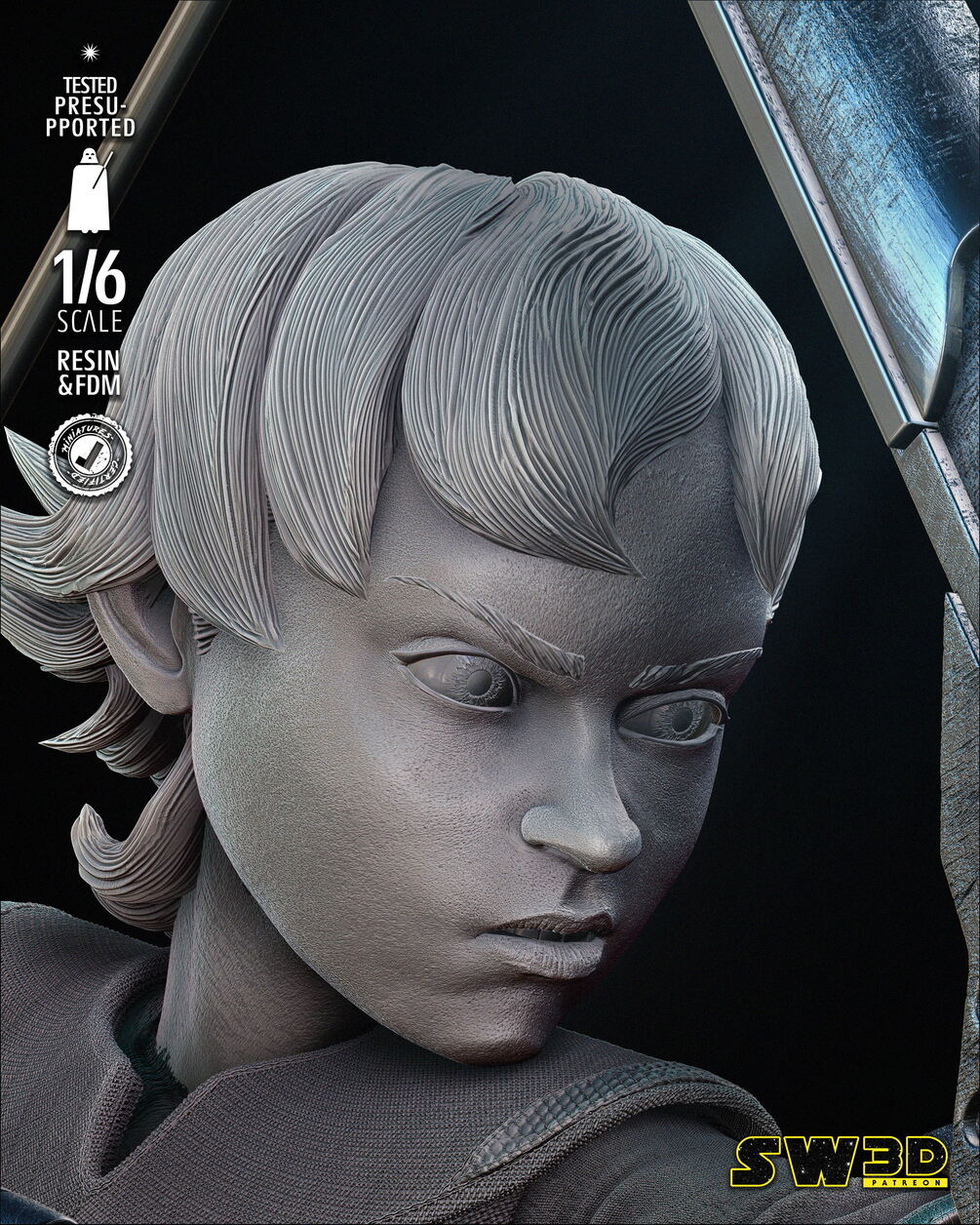 Omega Sculpture - Star Wars 3D Models - Tested and Ready for 3D printing