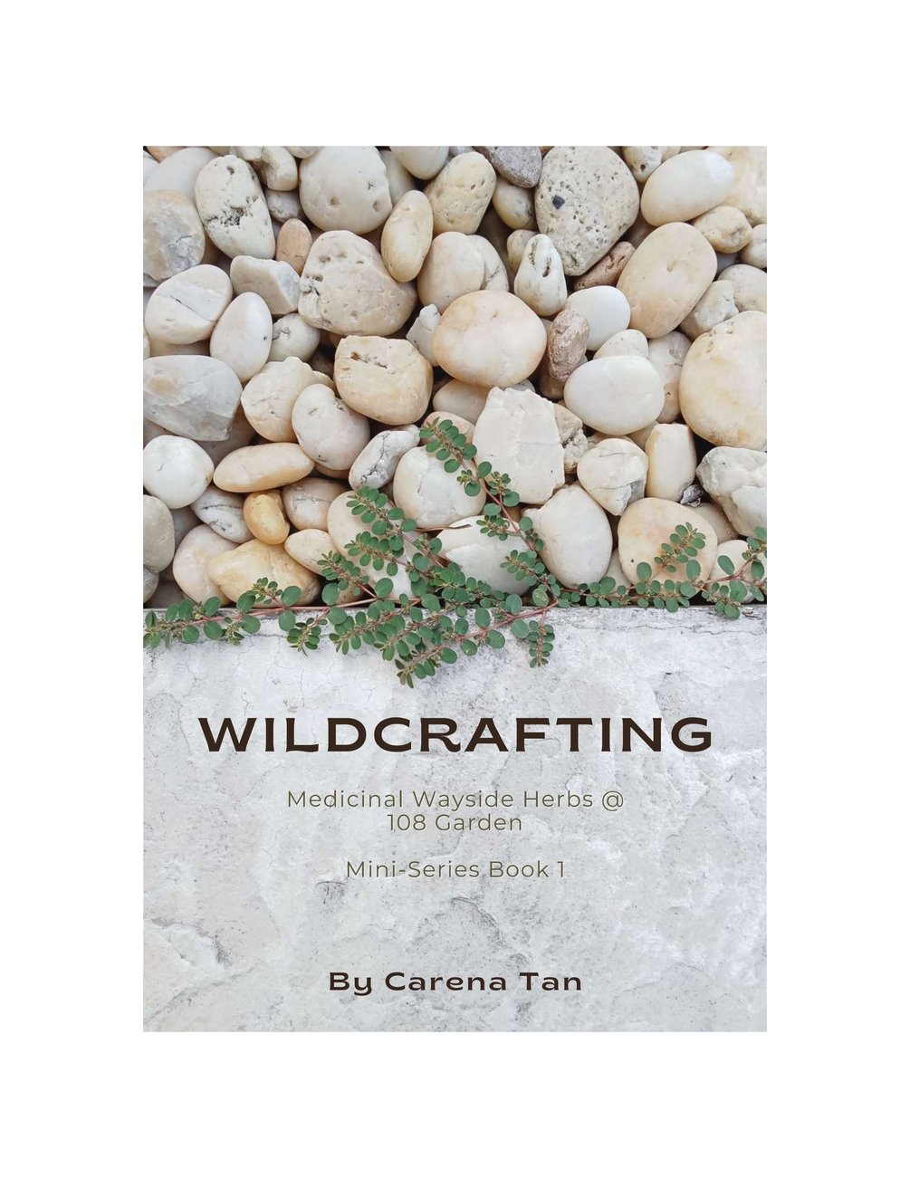 WILDCRAFTING 108 Mini-Book Series 1