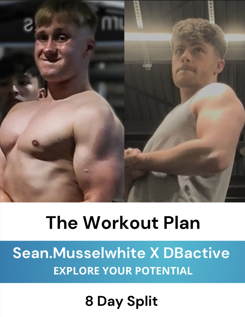 The Workout Plan