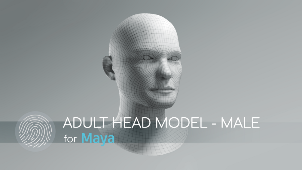 Manusiawi Adult Head Model - Male