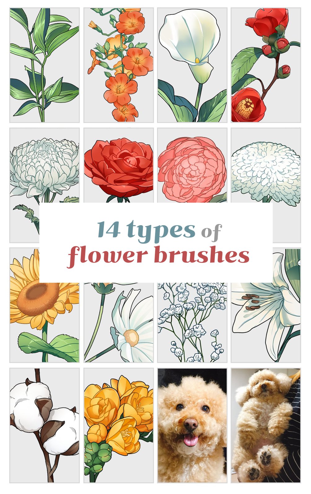 [Clip Studio] Flower Brush