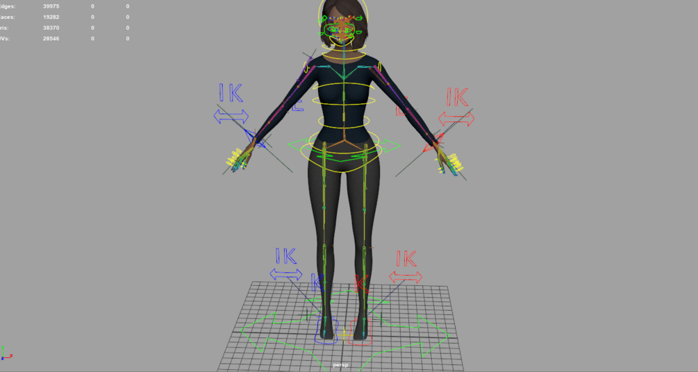 Advance Rig (for learning)