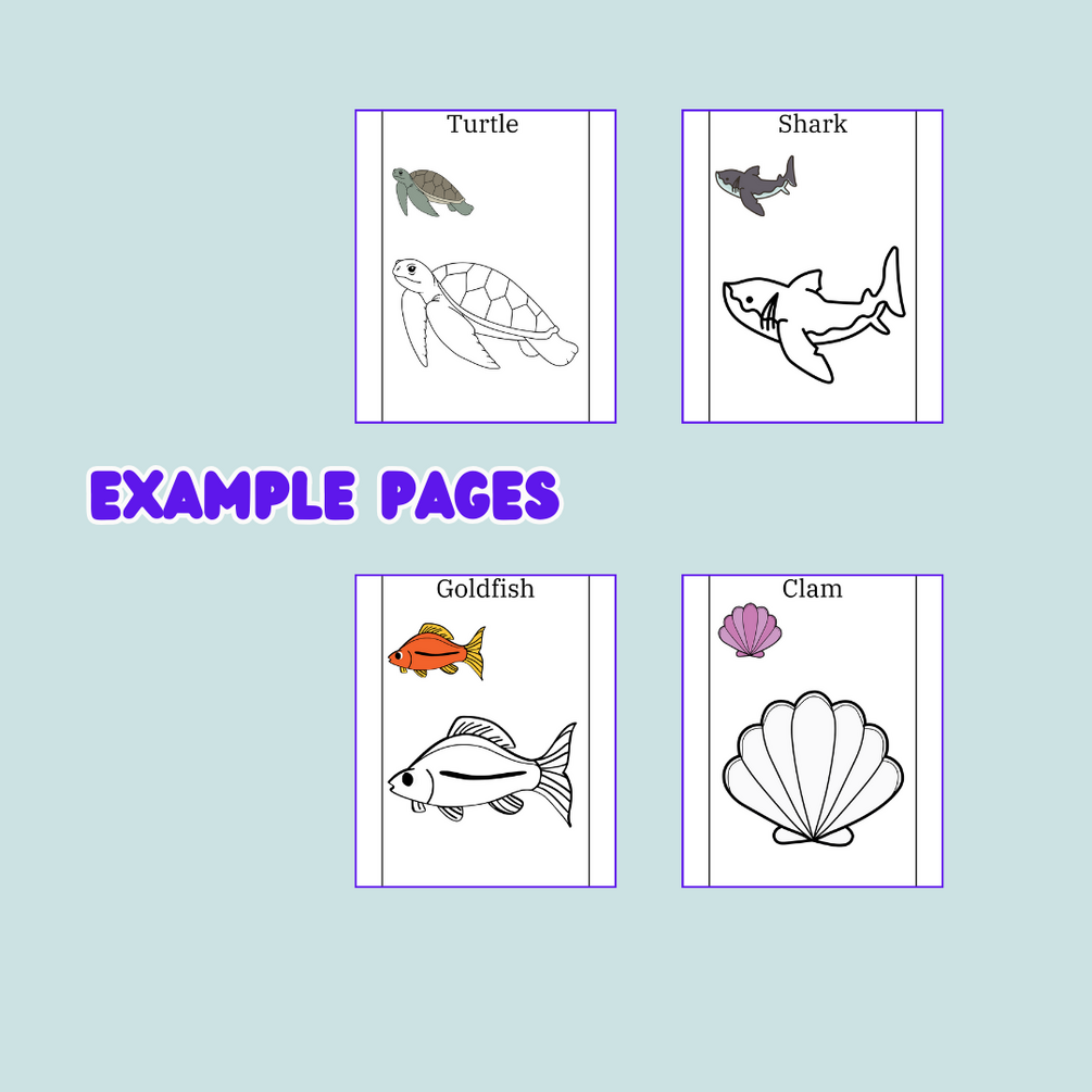 MATH MANIA (An awesome number adventure)