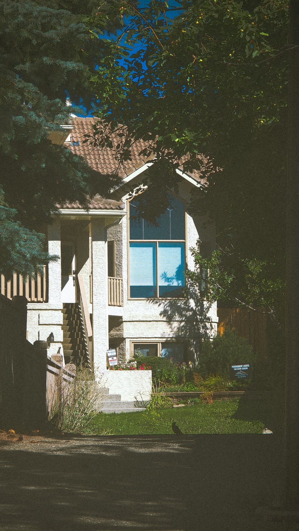 Yesmad Film Series: Blue Rewind — A Bluish Film Aesthetic of Late Summer