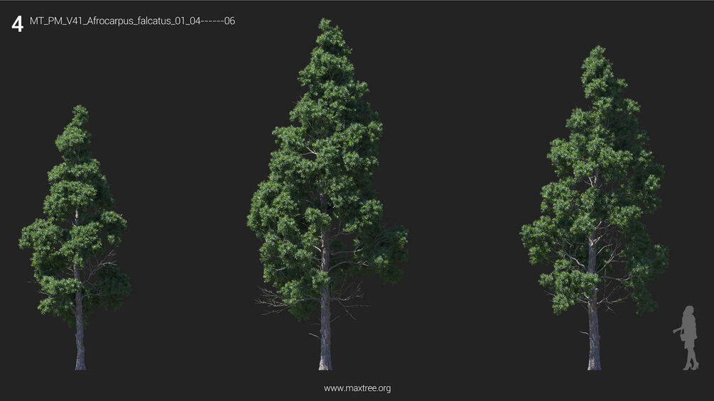 Maxtree Plant Models Vol 41