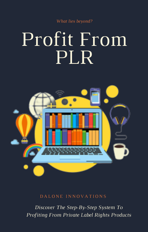 Profit From PLR E-Book