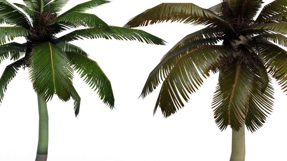 Low (Very) Poly Palms