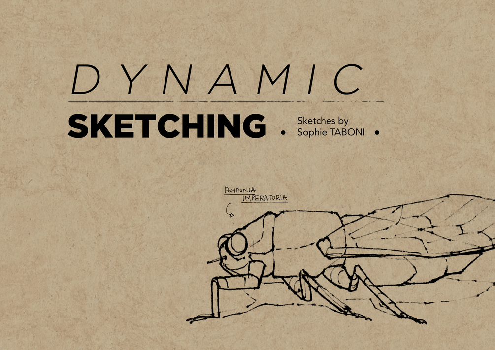 Sketchbook - Dynamic Sketching - English