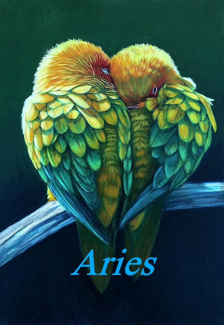 Aries ~ Spring Love Extended Reading