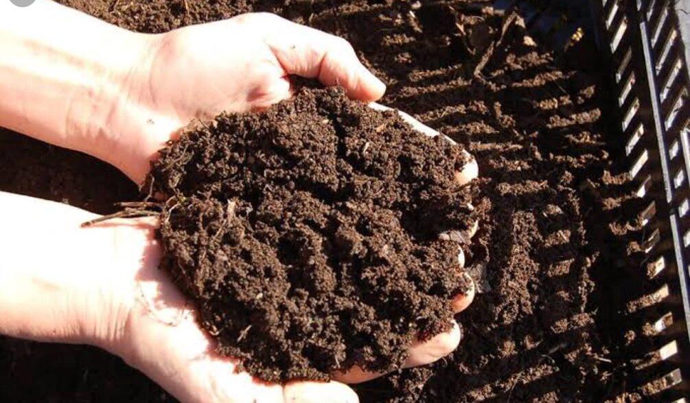 Goat Manure compost for plants