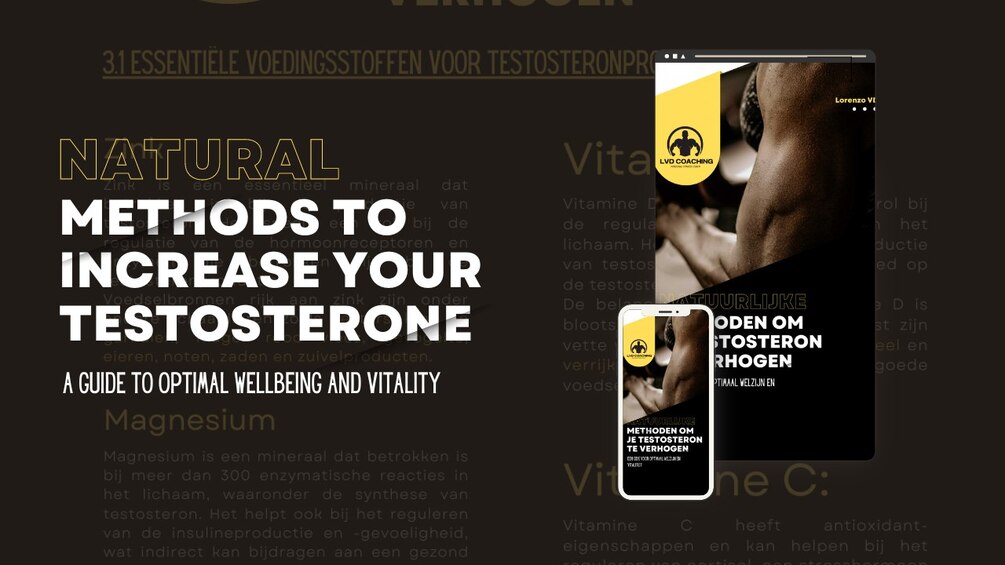 NATURAL METHODS TO INCREASE YOUR TESTOSTERONE A Guide to Optimal ...