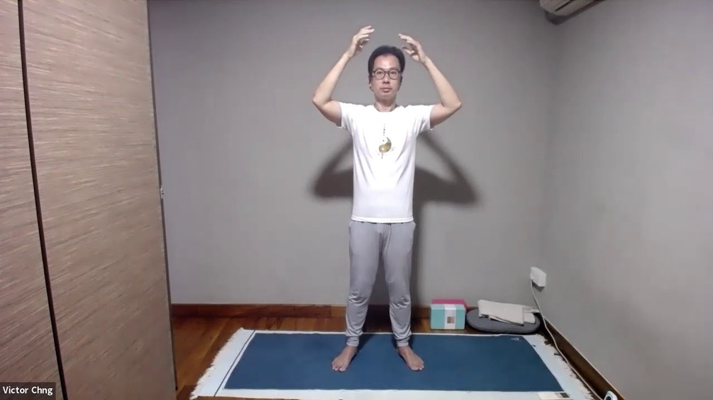 Basic Qigong & Swimming Dragon Practice | Session 9