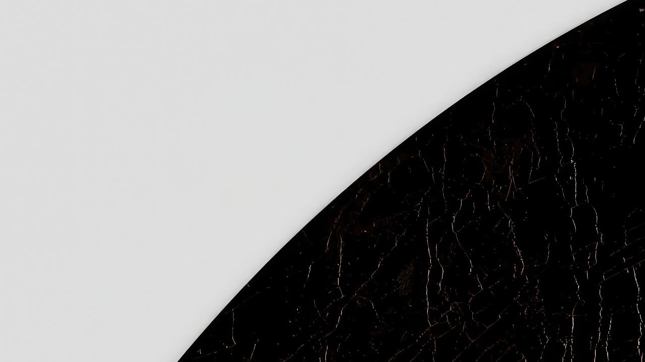 Anna Elisabeth Versyl by Arnold Boonen