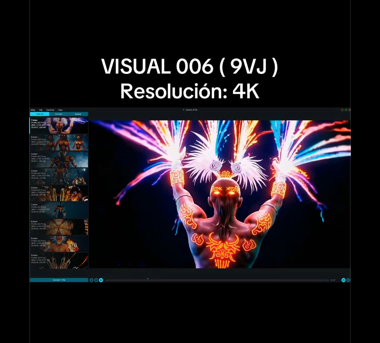 VISUAL 006 4K ( 9 VJ )