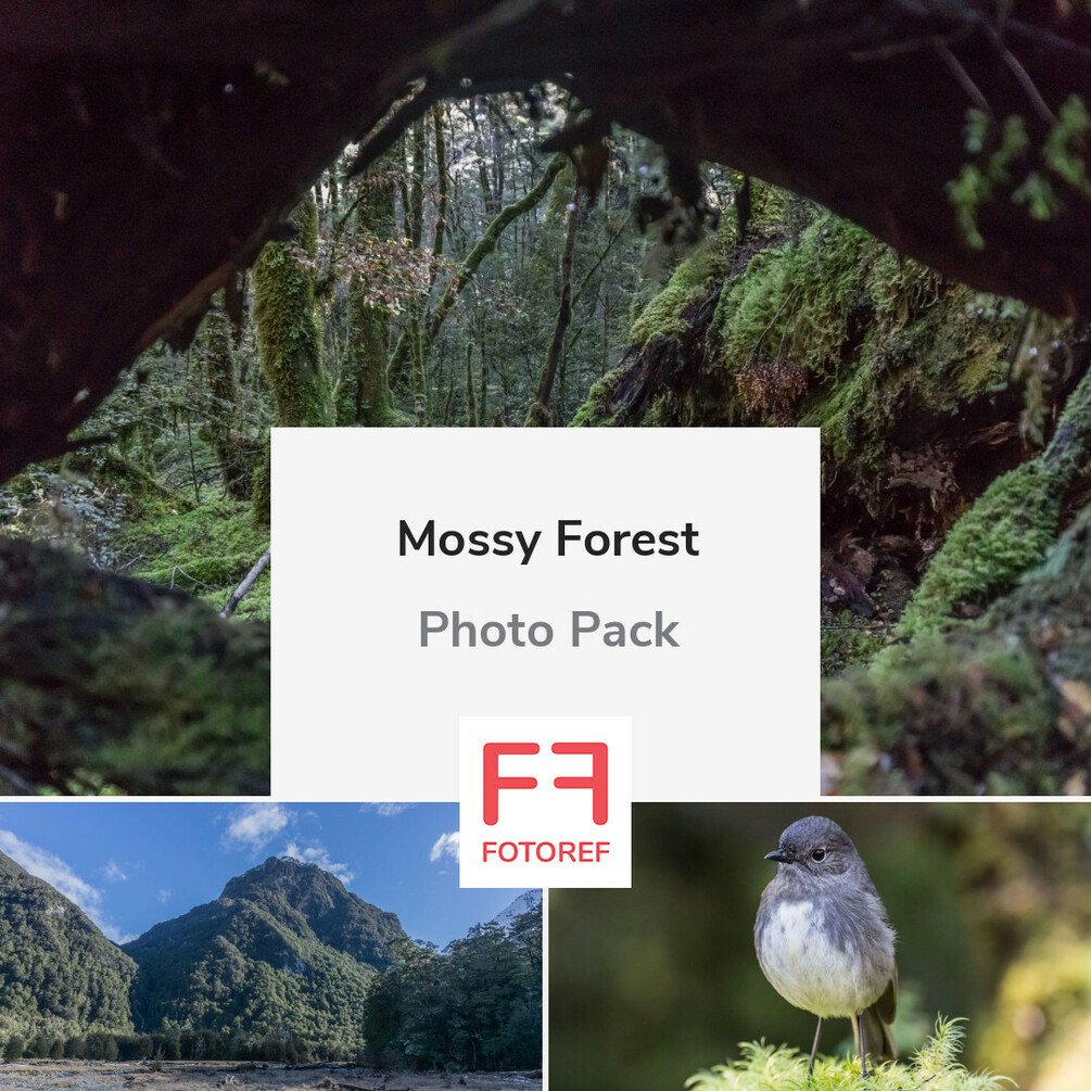 811 photos of Mossy Forest