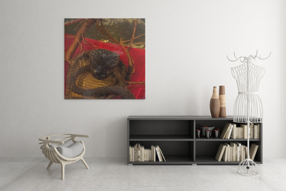 Dead Cobra – Blurred Snake Horror Print (Mask by Mack Escrow)