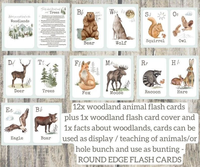 WOODLAND ANIMALS morning basket