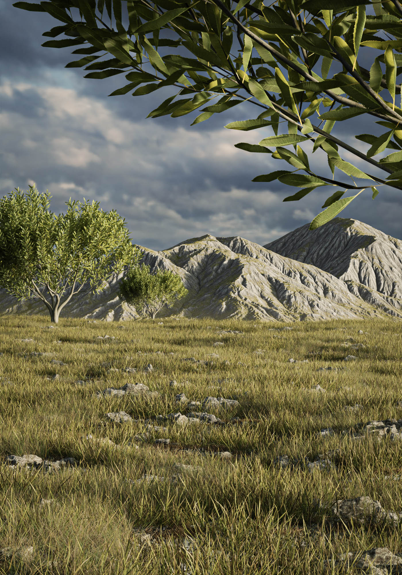 Terrain scapes