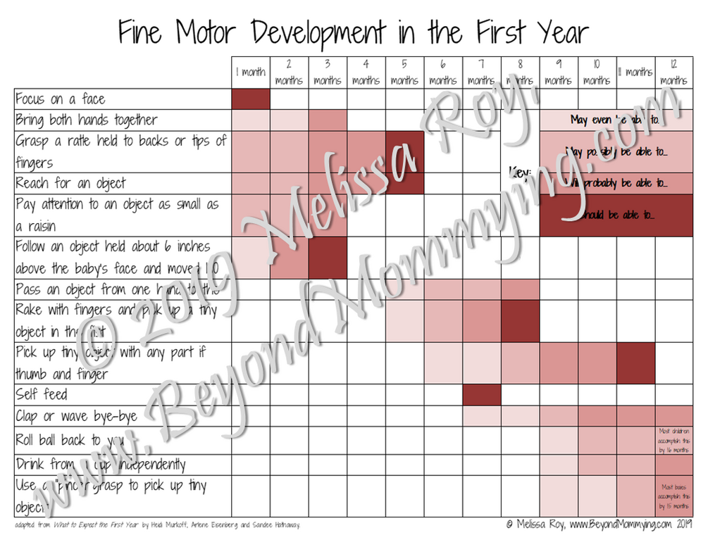 Infant Fine Motor Development Chart