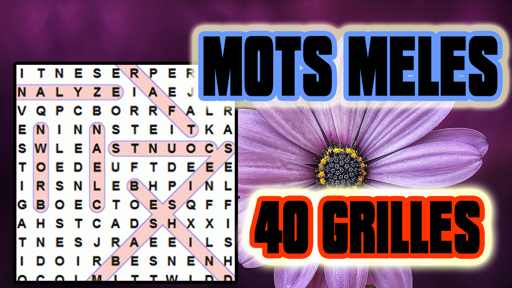 40 grilles de mots meles