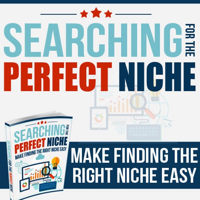 Searching For The Perfect Niche
