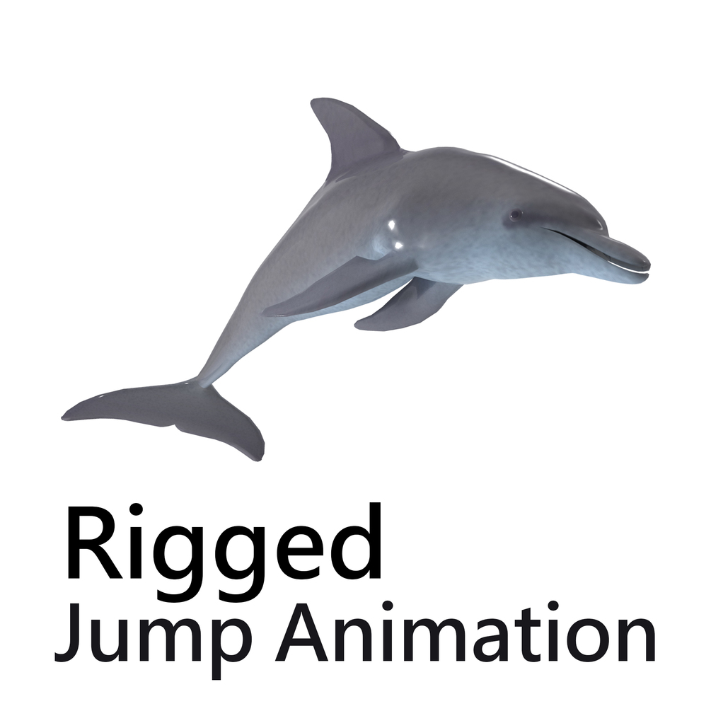 Dolphin Riged Jump Animation