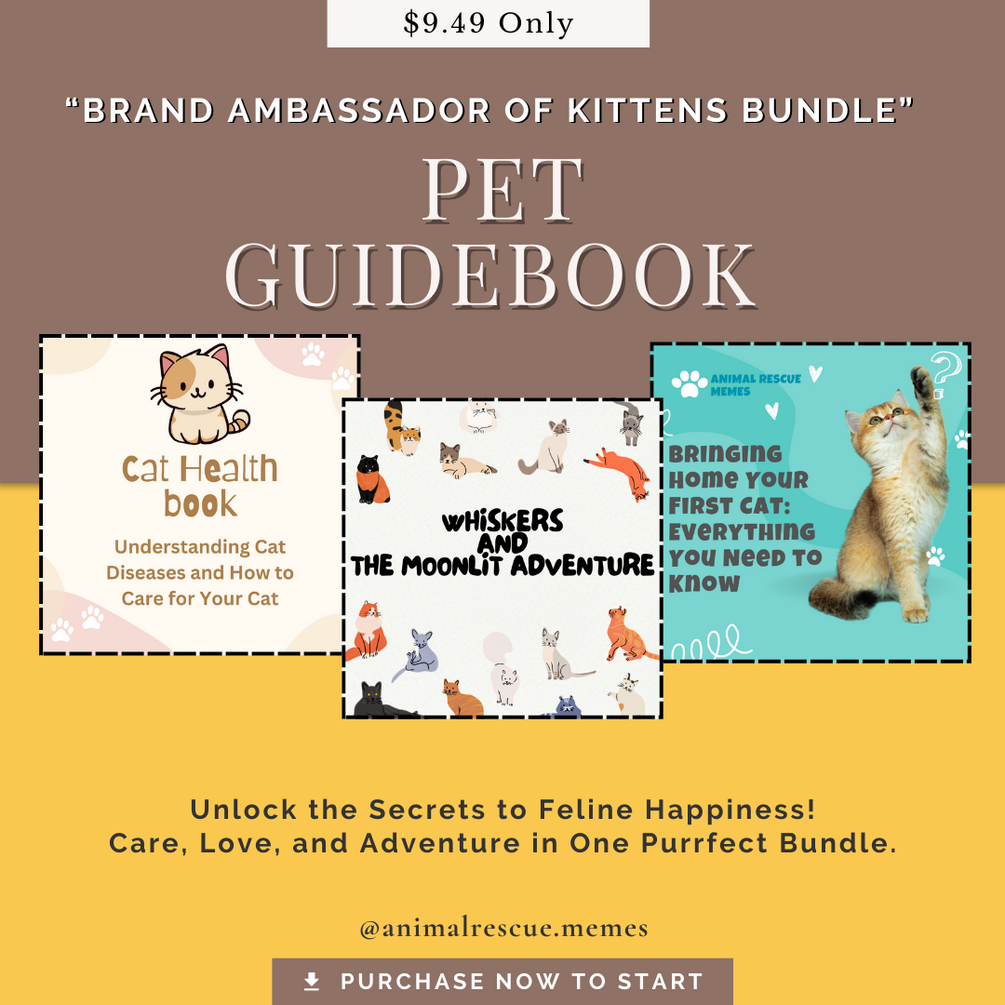 Brand Ambassador of Kittens Bundle