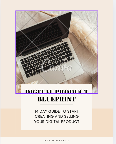 DFY DIGITAL BLUEPRINT- Digital Product Blueprint & Digital Product Planner