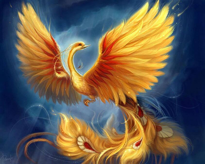 Phoenix Awakening Monthly Inner Circle