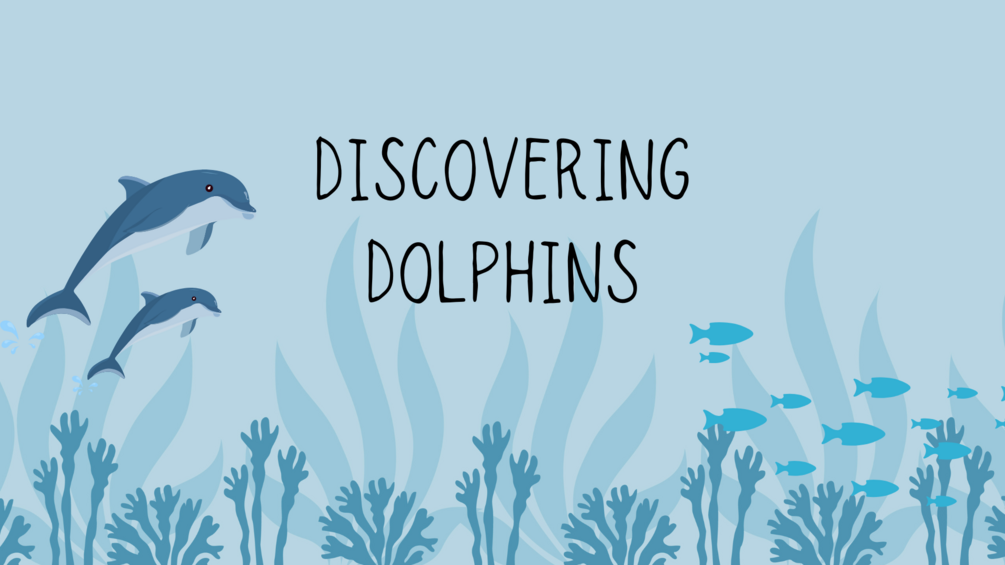 Fun Facts: Discovering Dolphins