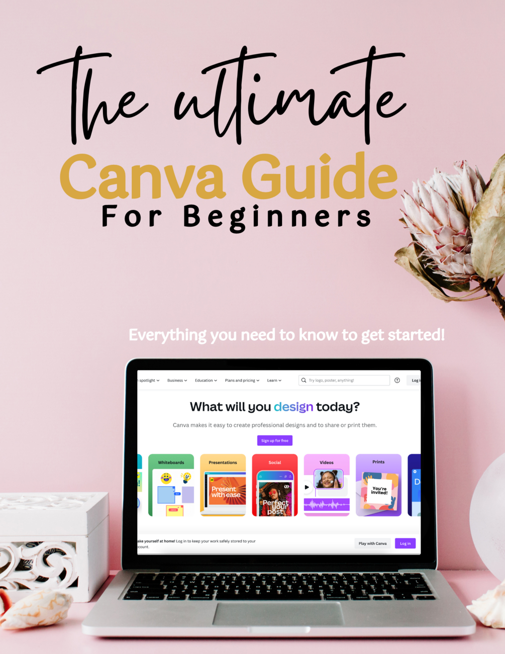 Canva Guide for Beginners