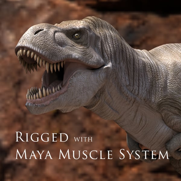 3D Animation and Maya Rigs