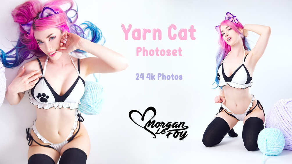 Yarn Cat Lingerie Photoset